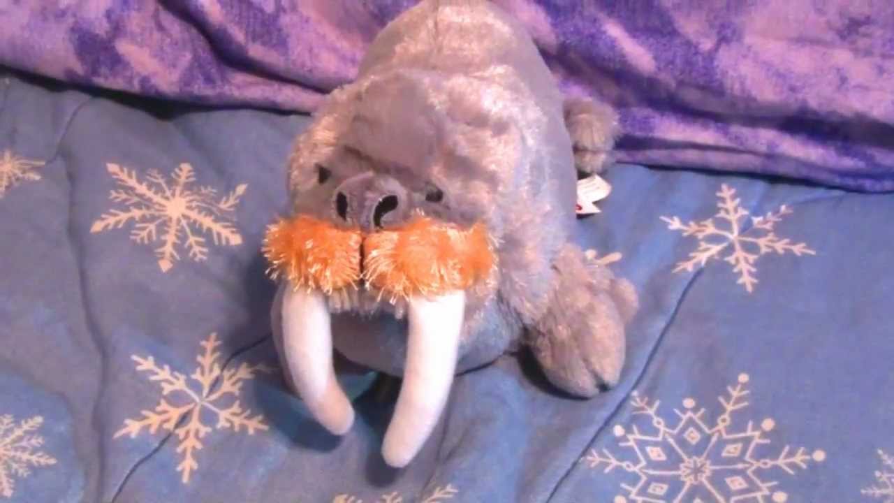 Wallace the Webkinz Walrus Adoption (November Pet of the Month) - YouTube