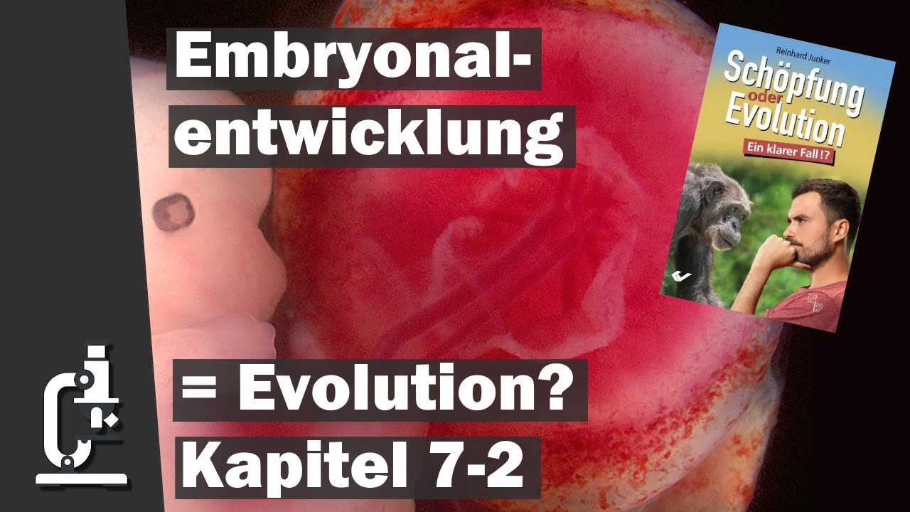 Evolution in der Embryonalentwicklung? Schöpfung oder Evolution 7-2 ...