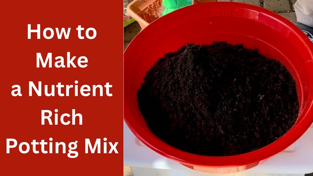 Secret of Best Potting Mix | Best Potting Mix | Make a Balanced Potting ...