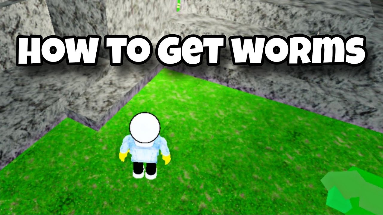 How to Get Worms in Capture Animals Roblox | small guide - YouTube