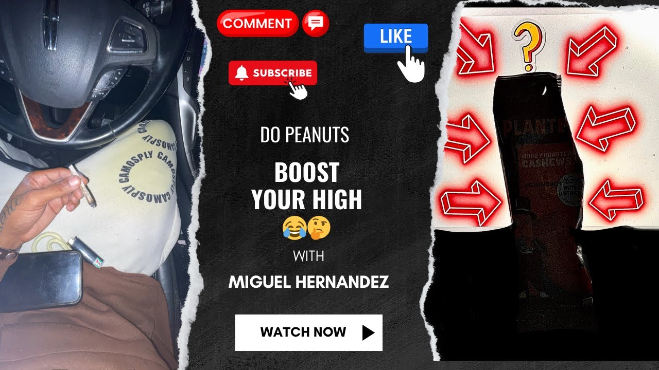 Will Cashews Boost Your High???😵‍💫😂 - YouTube