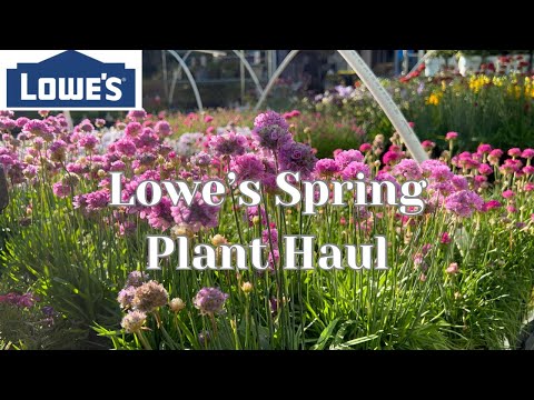 When Does Lowes Get Their Spring Plants