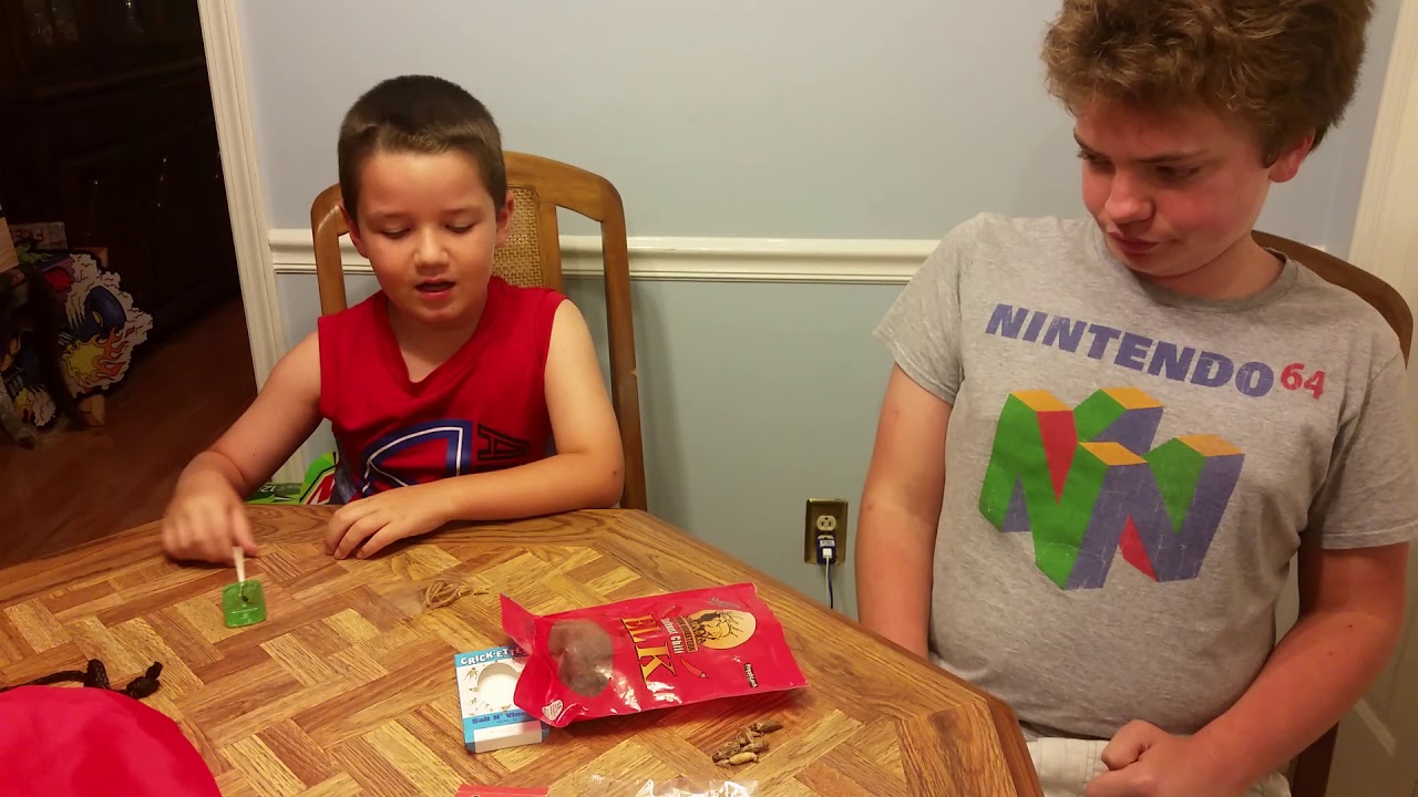 Jason's bug eating challenge part 2 of 5 - YouTube