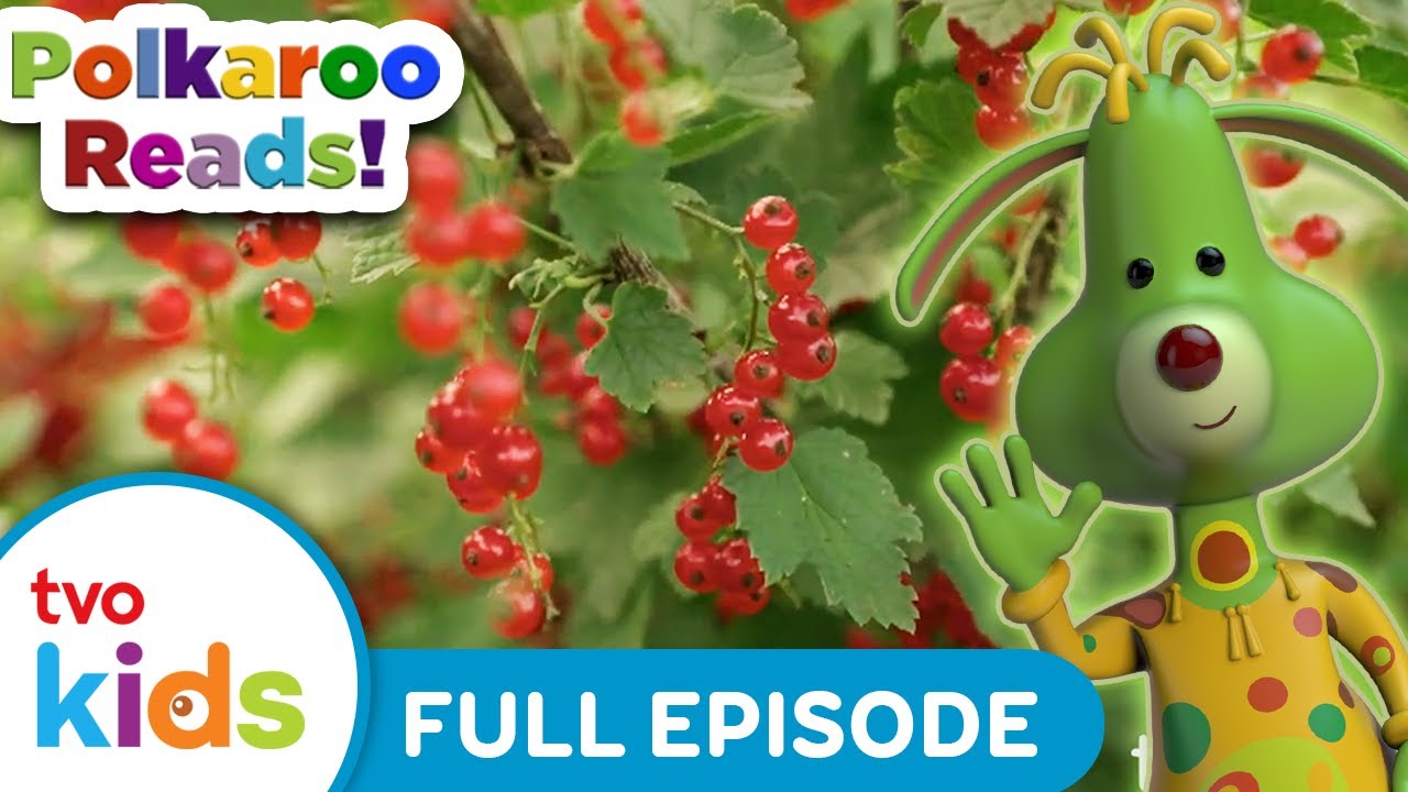 POLKAROO READS 📚 The Letter C 🐈 TVOkids Full Episode | ABCs For Kids ...