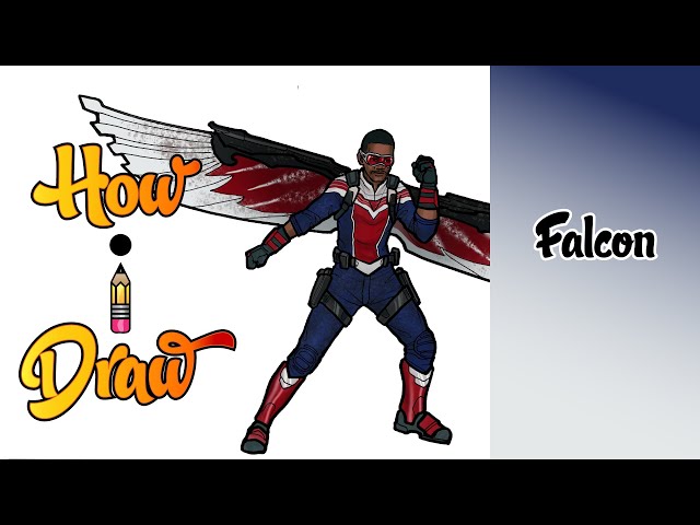 How To Draw A Cartoon Falcon