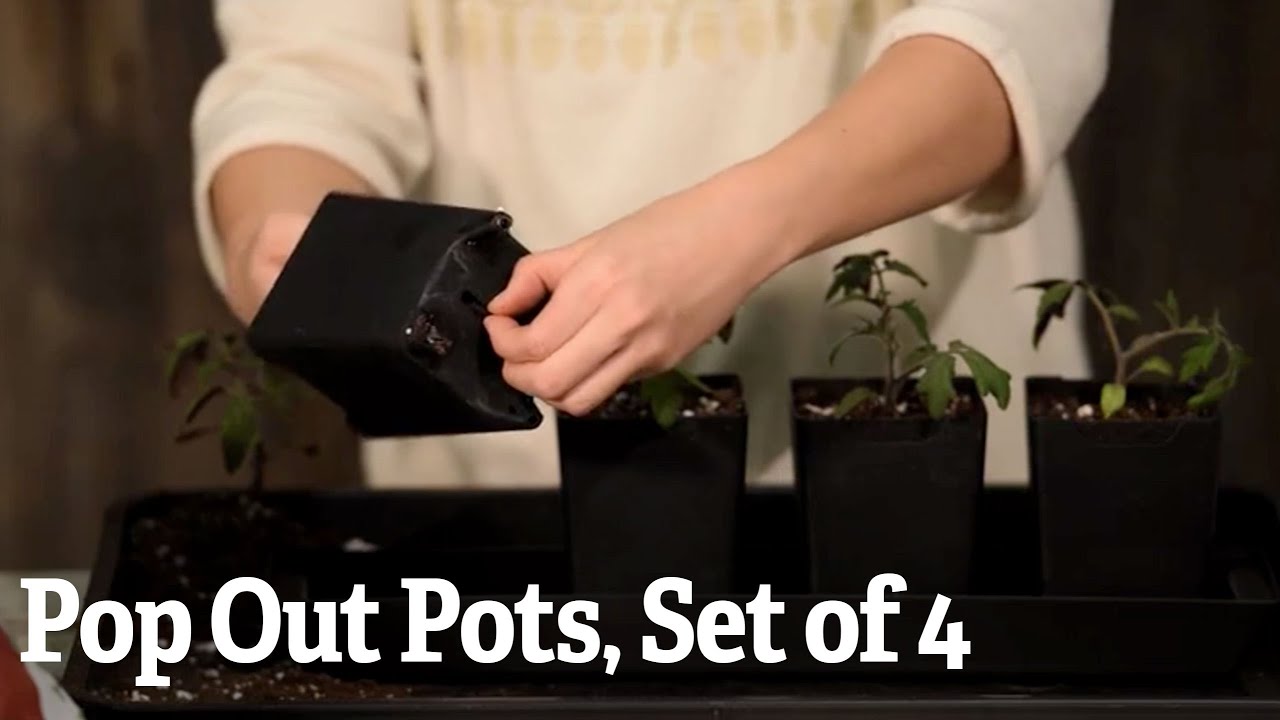 Pop Out Pots, Set of 4 - YouTube