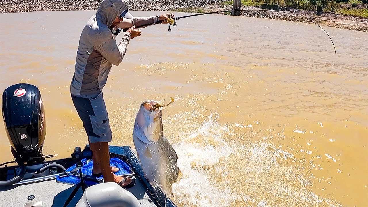 GIANT Fish Jumped in Boat: Unbelievable Moment! - YouTube