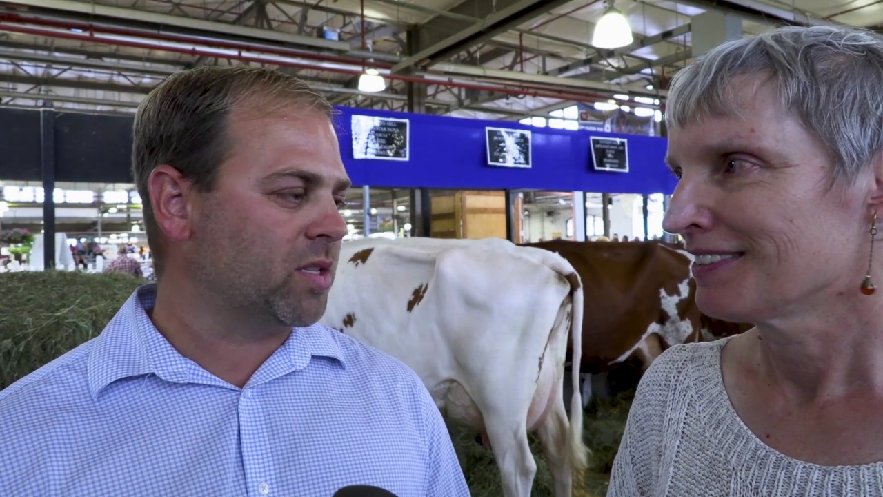 Senator May speaks with Corey Mosher on the importance of the New York ...
