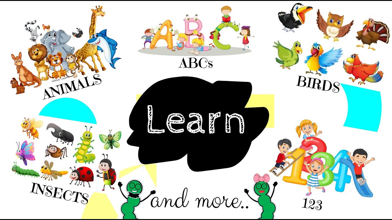 Learn ABC 123 Animals Birds Insects and many more Preschool Essentials ...