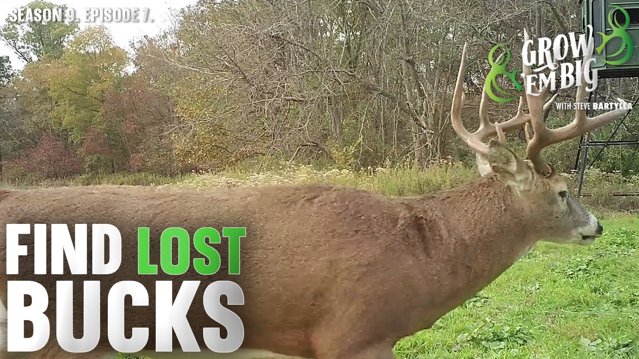 Understanding Whitetail Home Ranges and Core Areas - YouTube