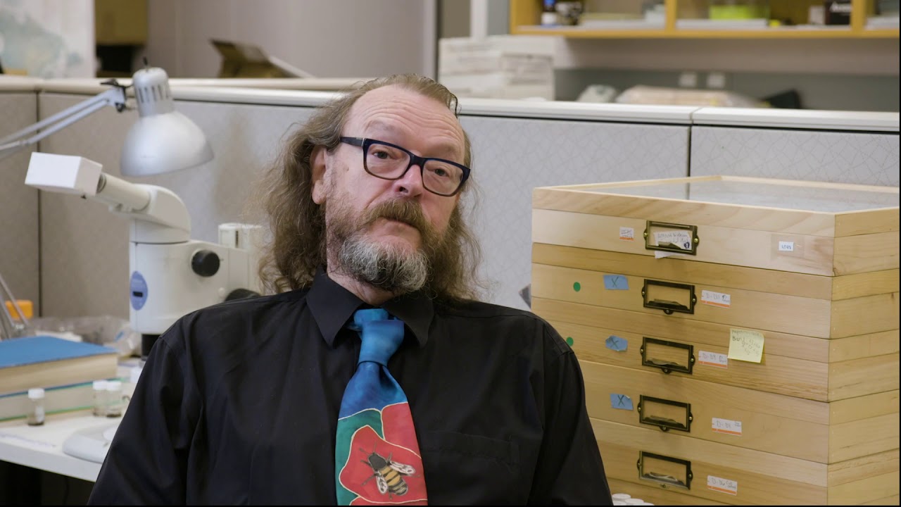 2 Minutes, 3 Questions with Professor Laurence Packer - YouTube