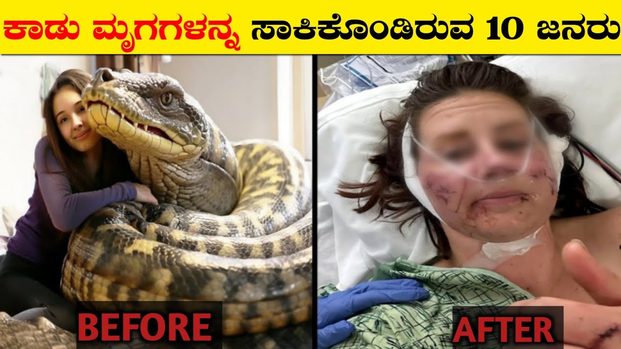 10 People Accidentally Adopted Wild Animals|Rj Facts In kannada - YouTube