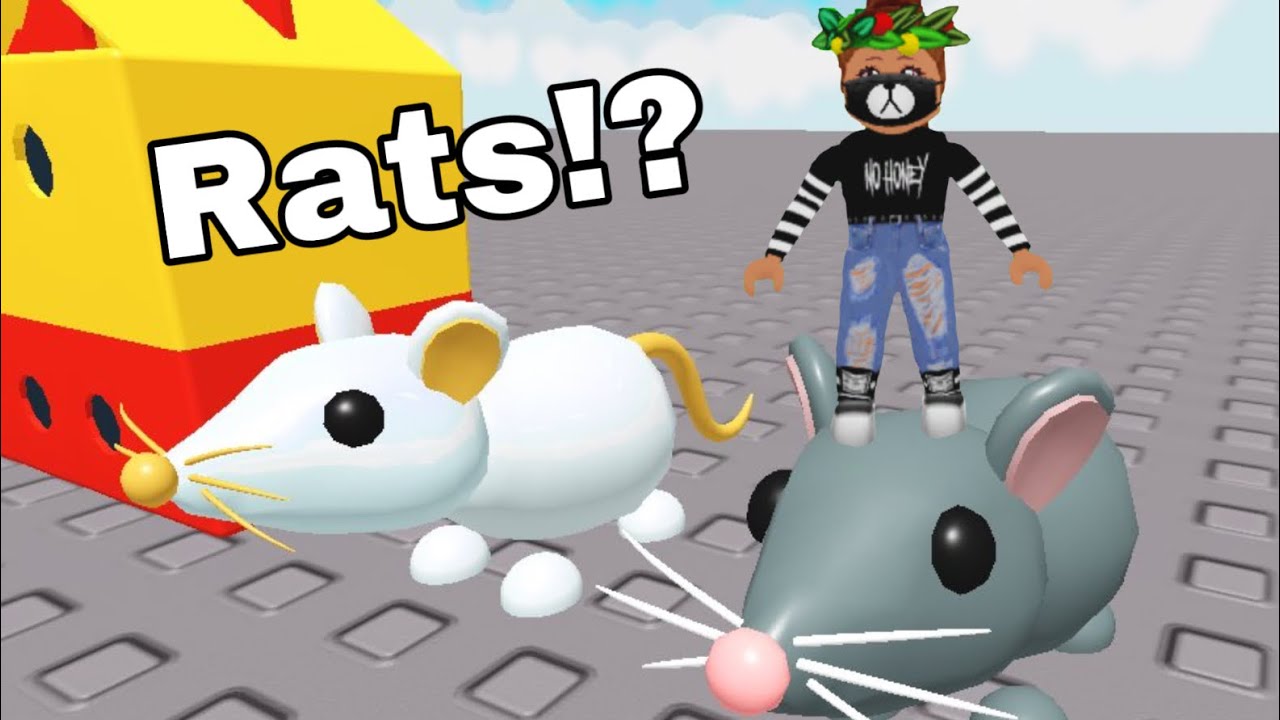 ARE THERE RATS!? *ADOPT ME* - YouTube