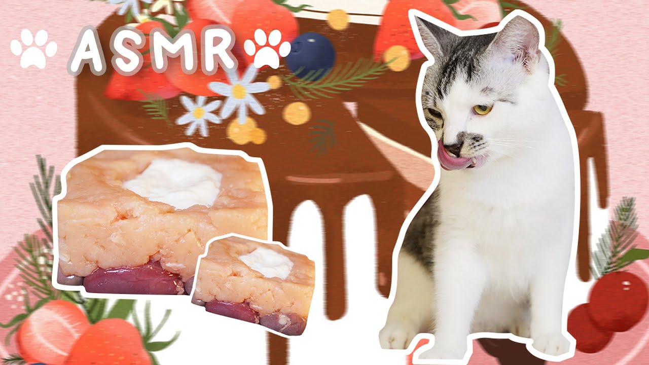 Satisfying cat eating, Put pet yogurt into chicken breast, a delicious ...