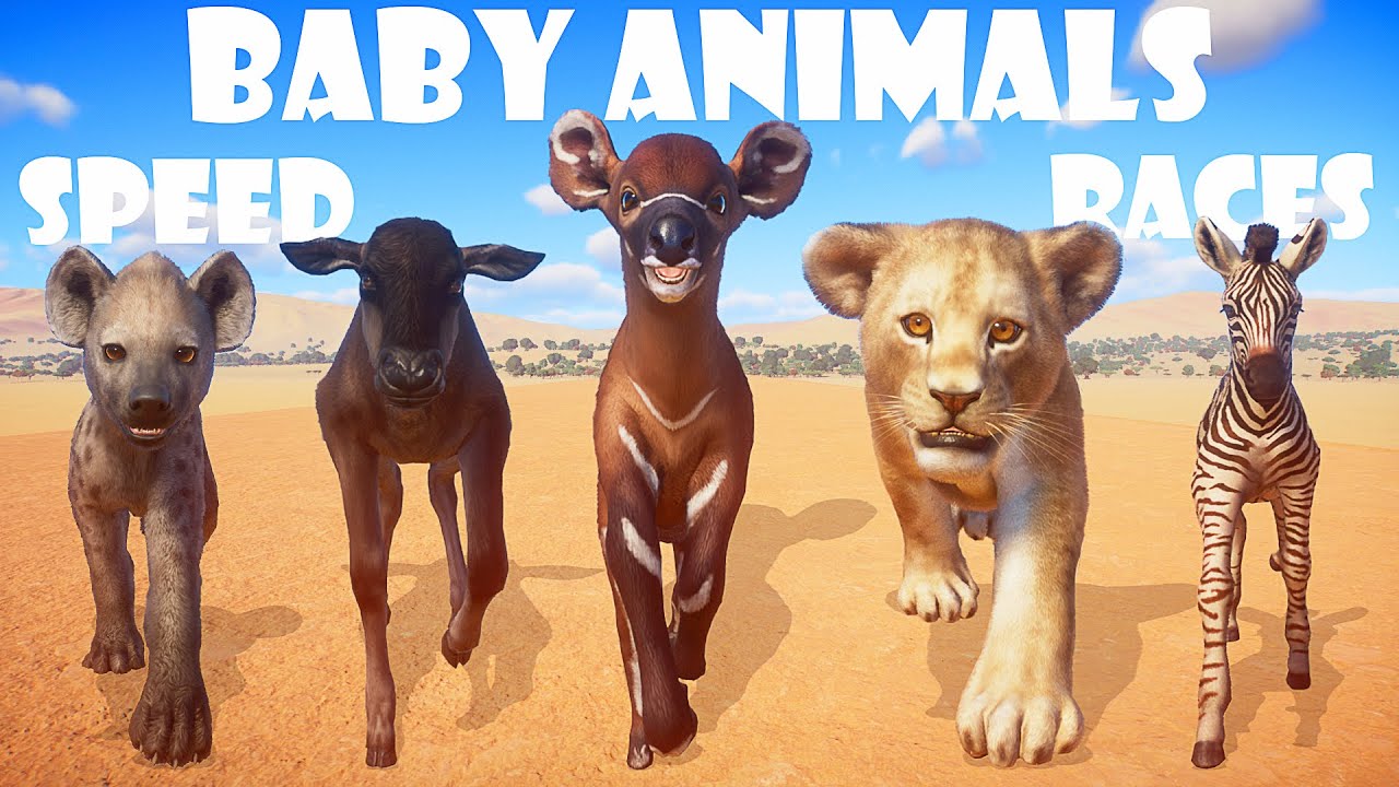 Baby Animals Speed Races in Planet Zoo included Hyena, Wildebeest ...