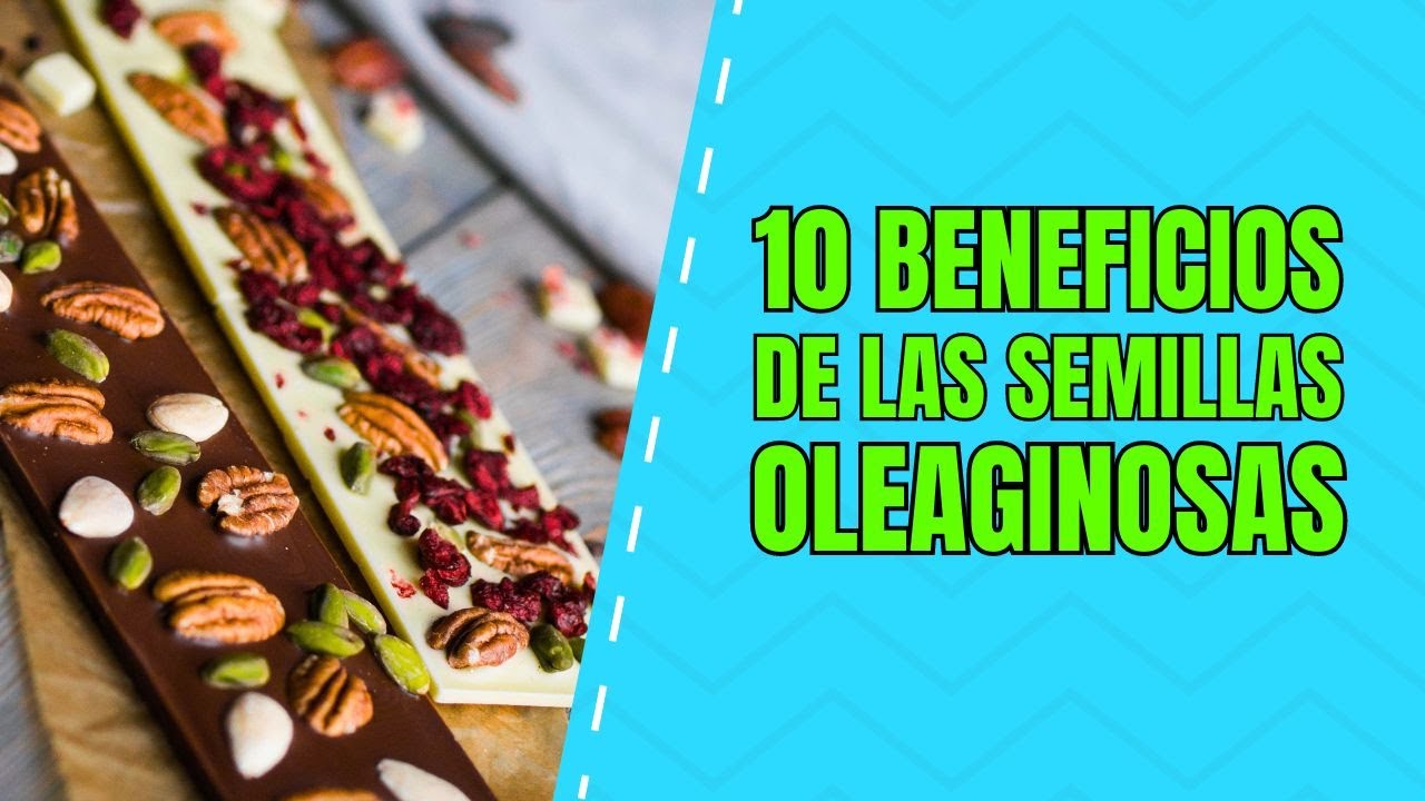 10 BENEFICIOS DE LAS SEMILLAS OLEAGINOSAS – Alimentación saludable ...