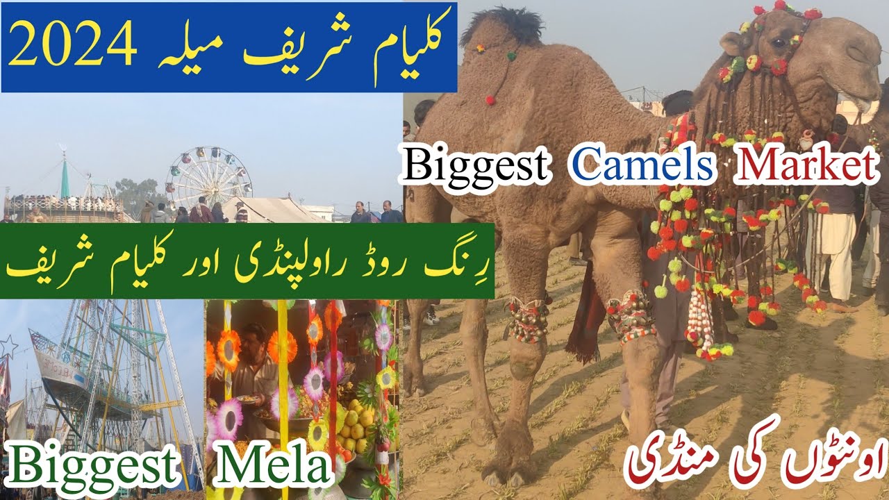 Kalyam Sharif Mela 2024 | Kalyam Sharif Mela | Baa Fazal Shah Kalyami ...