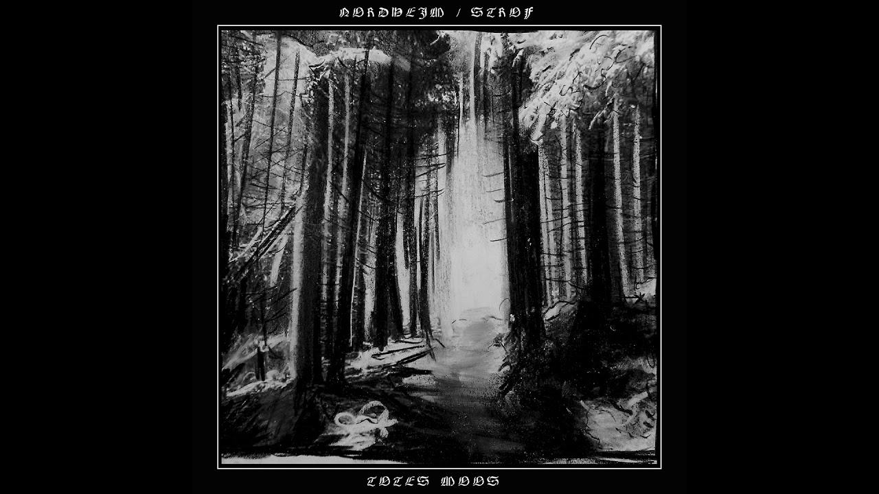 Nordheim / Strof - Totes Moos (Full Split Premiere) - YouTube