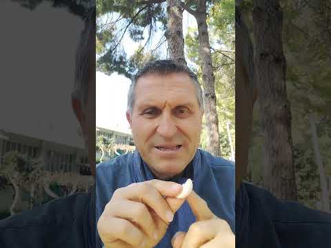 Est-il bénéfique d'avaler de l'ail cru à jeun ? Comment manger et consommer de l'ail ? #shorts