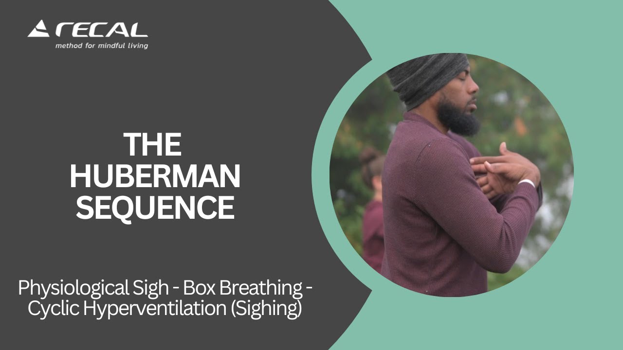 The 'Huberman Sequence' Breathwork - Physiological Sigh - Box Breathing ...
