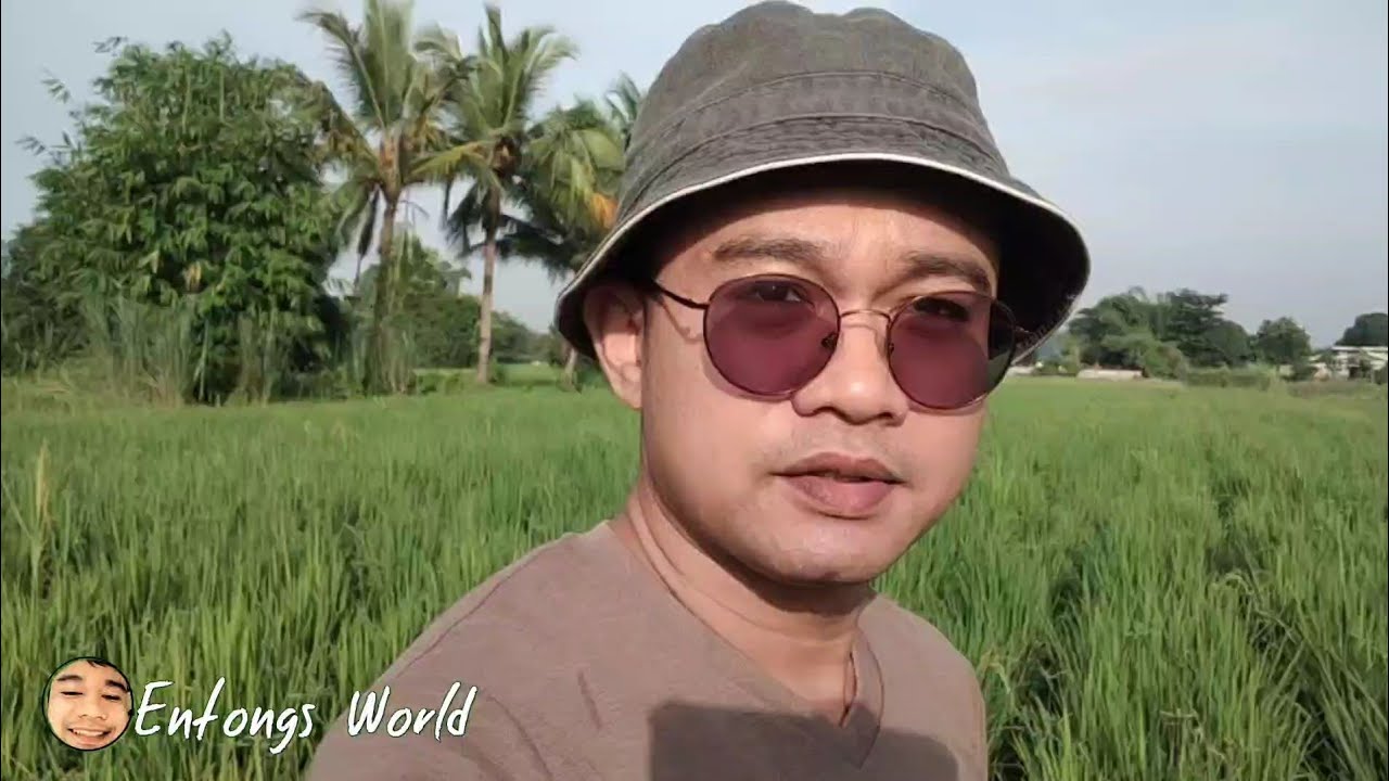 PARATING NA ANG ULAN, KAILANGAN NATIN MAG IMBAK NG PAKAIN SA ATING MGA ...