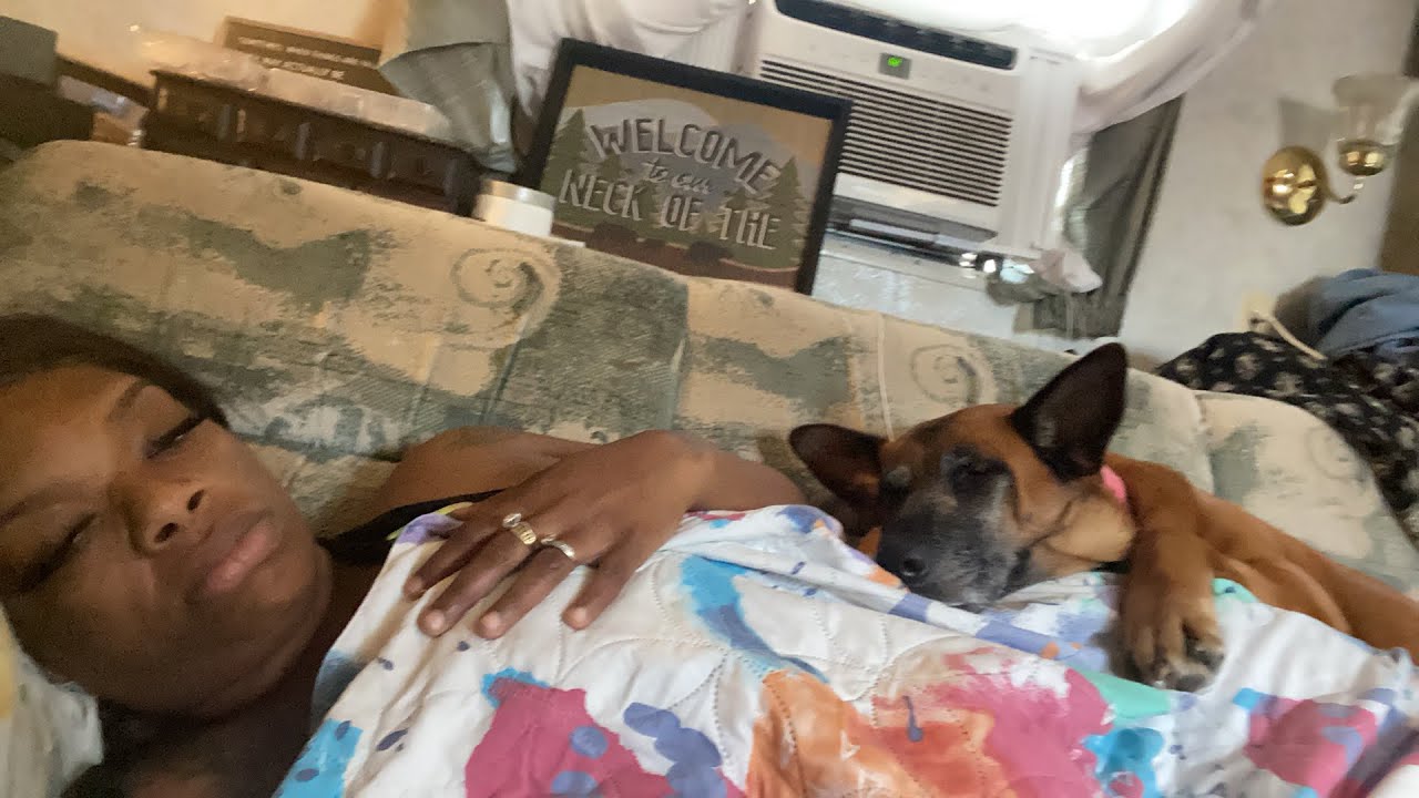 Was Dejis Dog Put Down