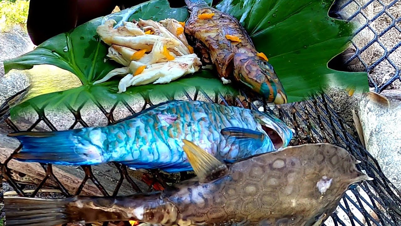 CATCH AND COOK....JAMAICA LOCK DOWN EDITION. - YouTube