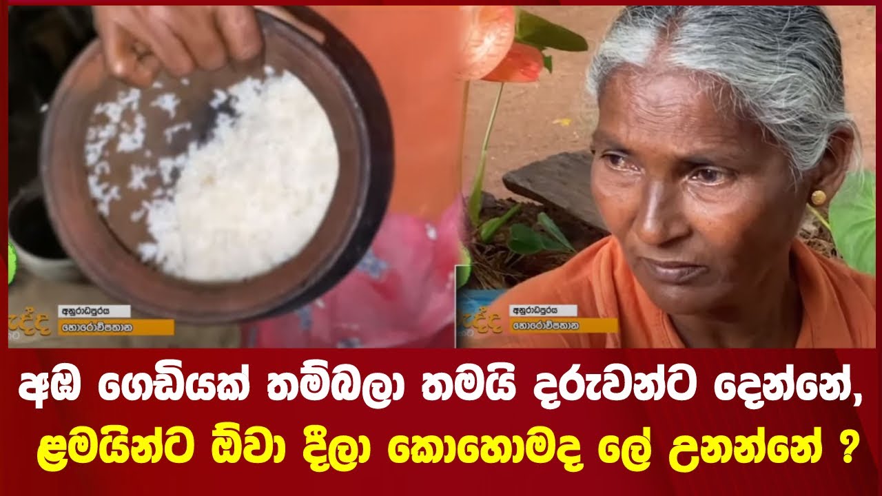 අඹ ගෙඩියක් තම්බලා තමයි දරුවන්ට දෙන්නේ ළමයින්ට ඕවා දීලා කොහොමද ලේ