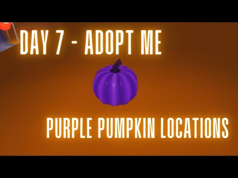 ADOPT ME DAY 7 Purple Pumpkin Locations - YouTube