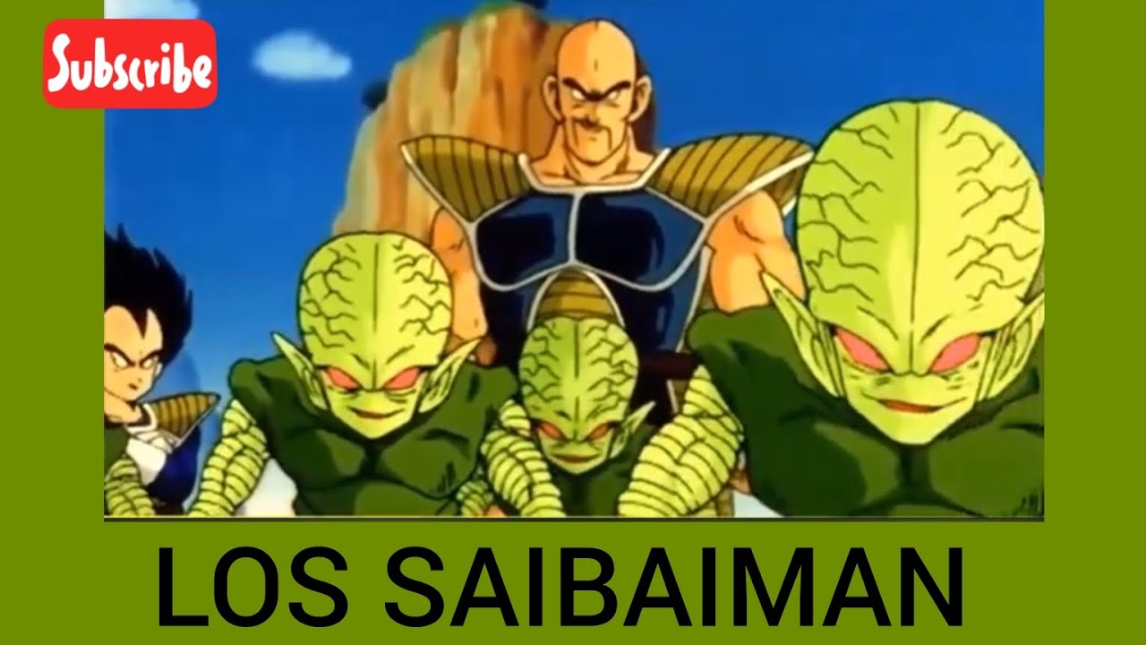 TODO SOBRE LOS SAIBAIMAN - YouTube