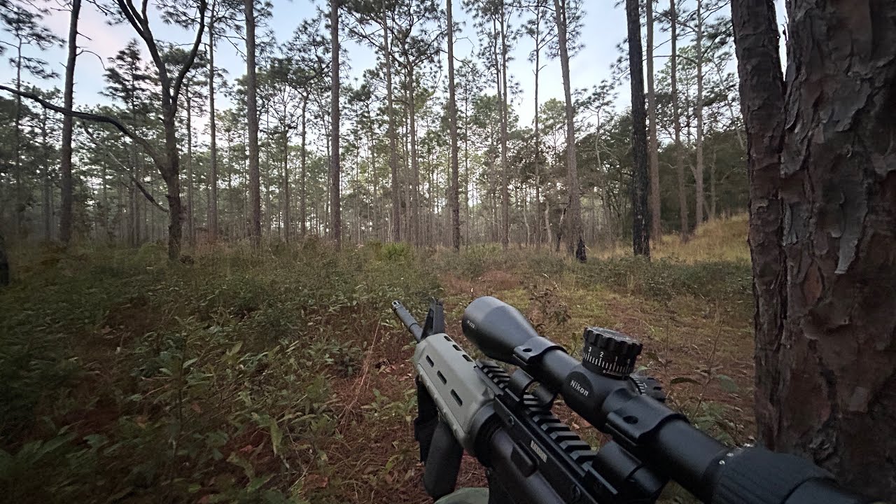 Croom WMA deer hunt “2nd weekend”.. - YouTube