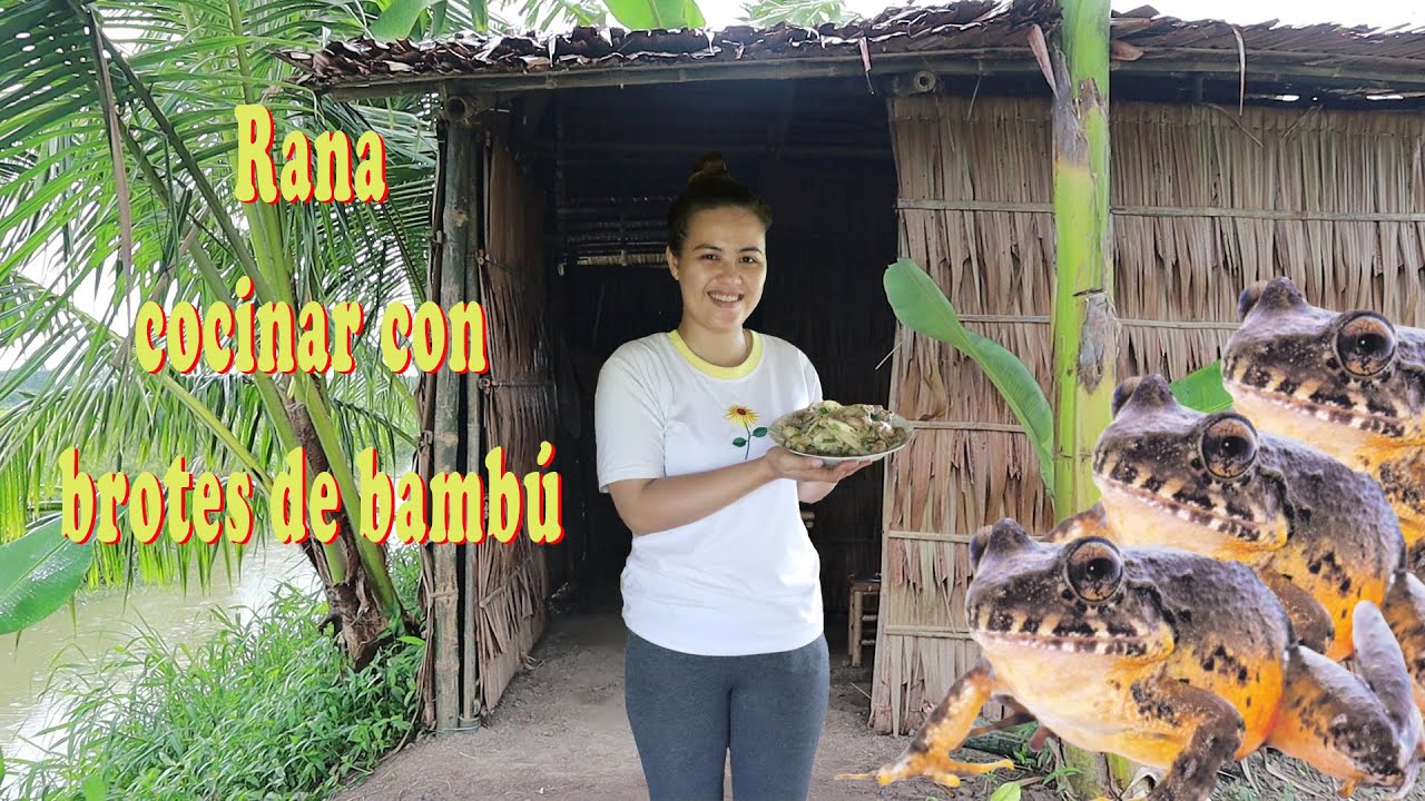 Cómo hacer una trampa para ranas muy simple | Deliciosa rana de cocina ...