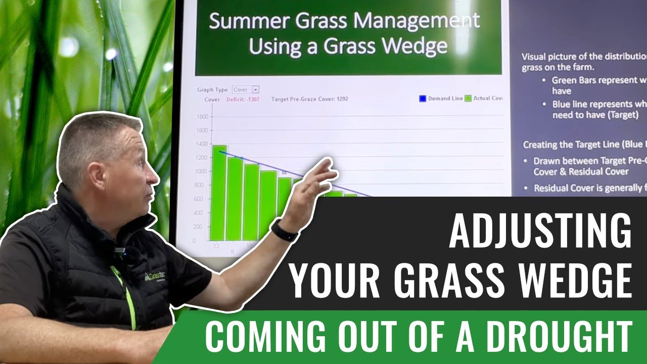 Adjusting Your Grass Wedge Coming Out of a Drought - YouTube