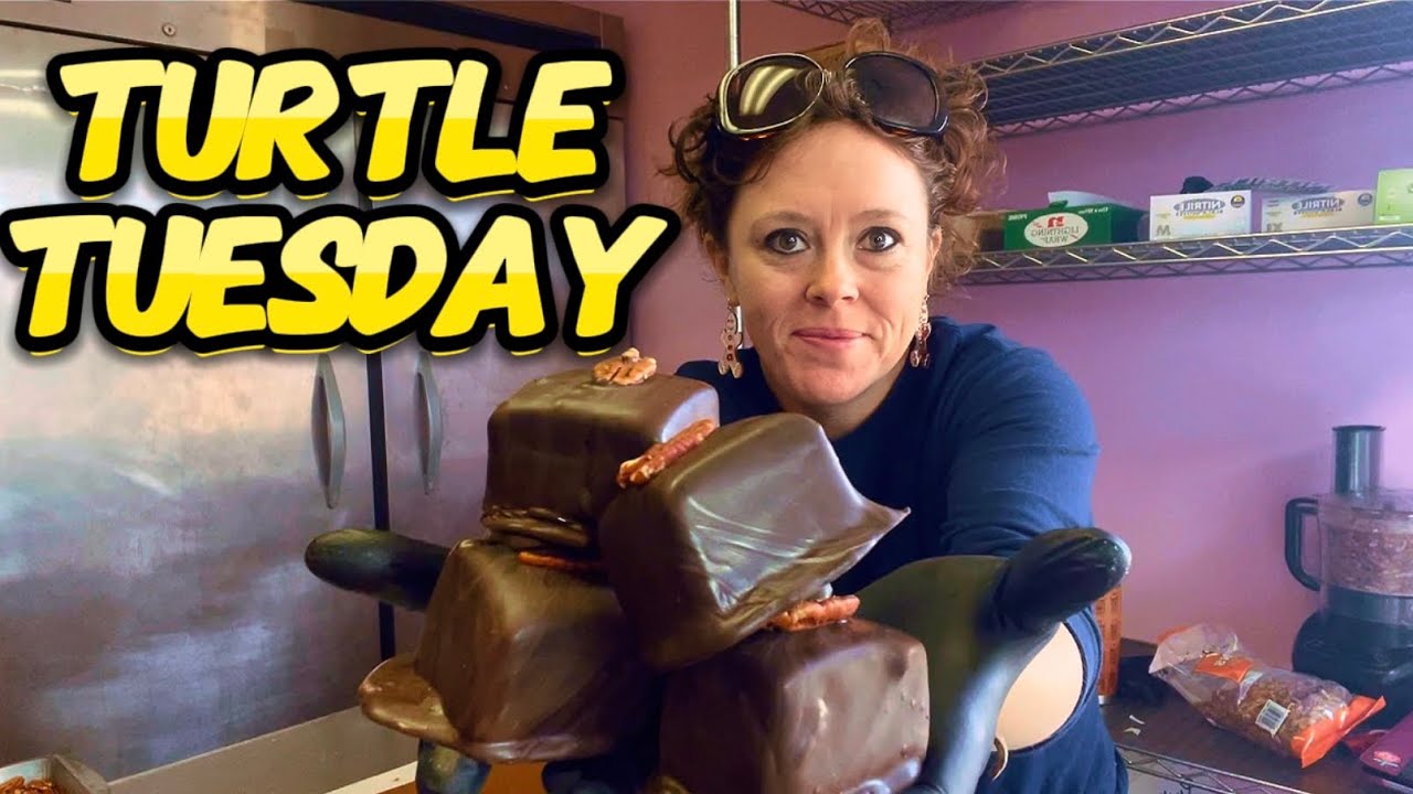 TURTLE TUESDAY - YouTube