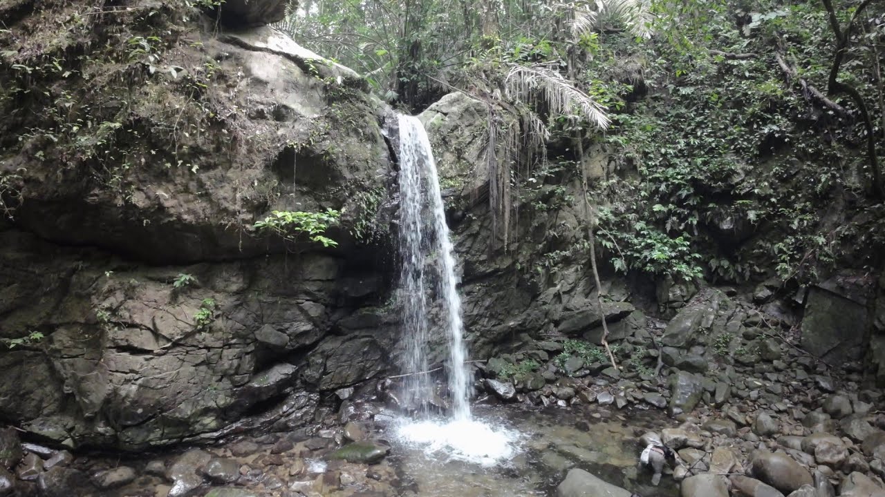 Most beautiful waterfall in the village // Dungkallang waterfall - YouTube