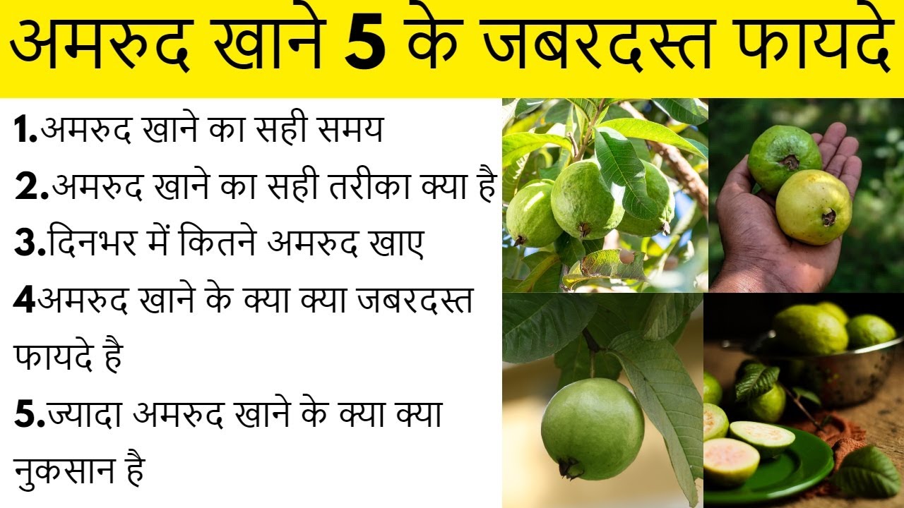 सर्दियों में अमरुद खाने के ये जबरदस्त फायदे सुन कर आप चौक जाएंगे ...
