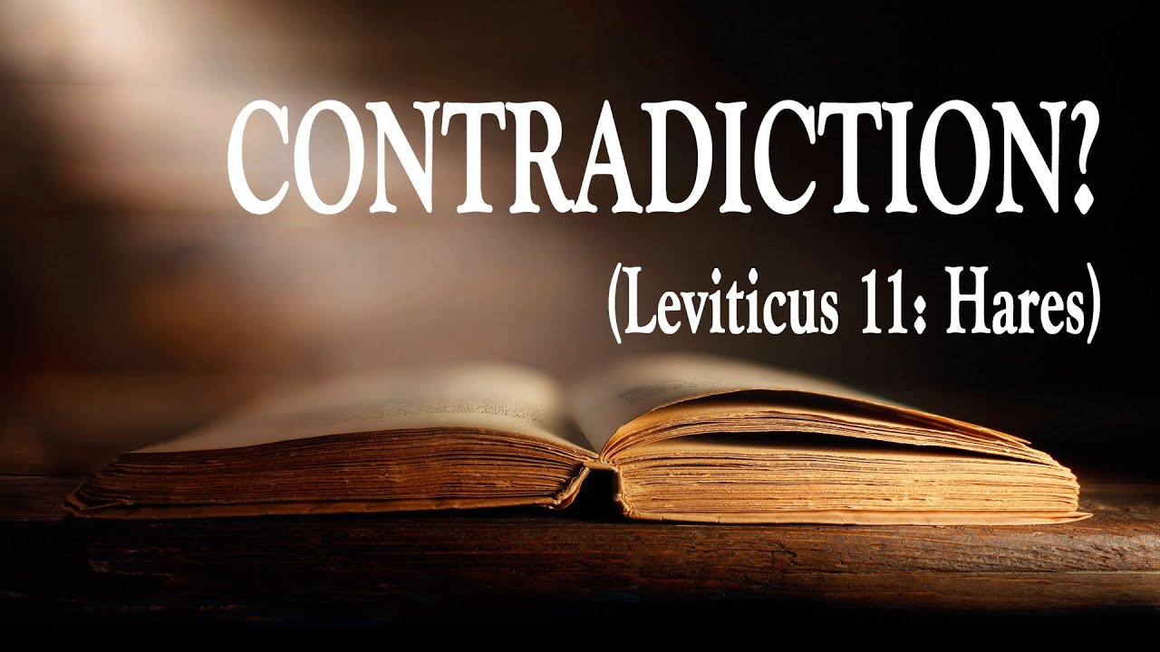 Do Hares Chew the Cud? (Lev.11) | KJV Bible Contradictions Answered ...