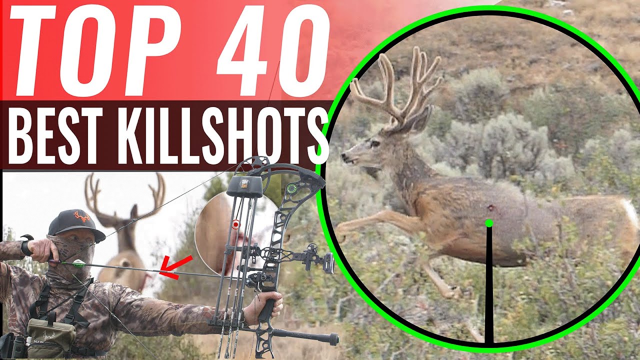 40 BEST Kill Shots in 12 Minutes - YouTube
