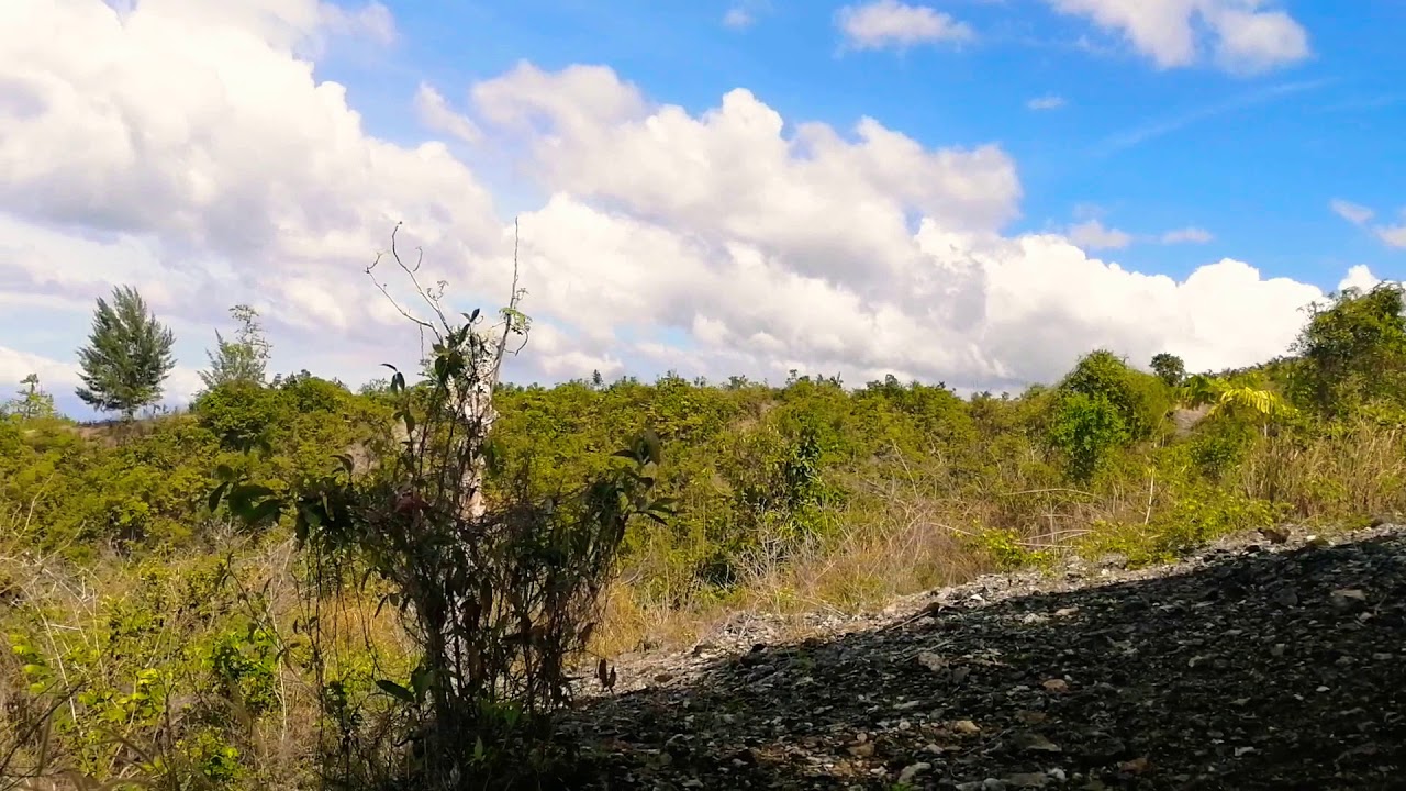 Bukid 🌄⛰️ - YouTube