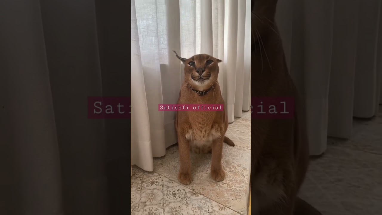 26 August 2022 - YouTube