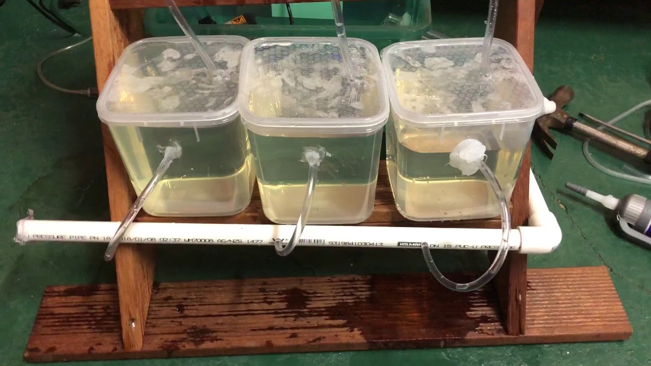 Small betta barrack betta rack prototype desk size - YouTube