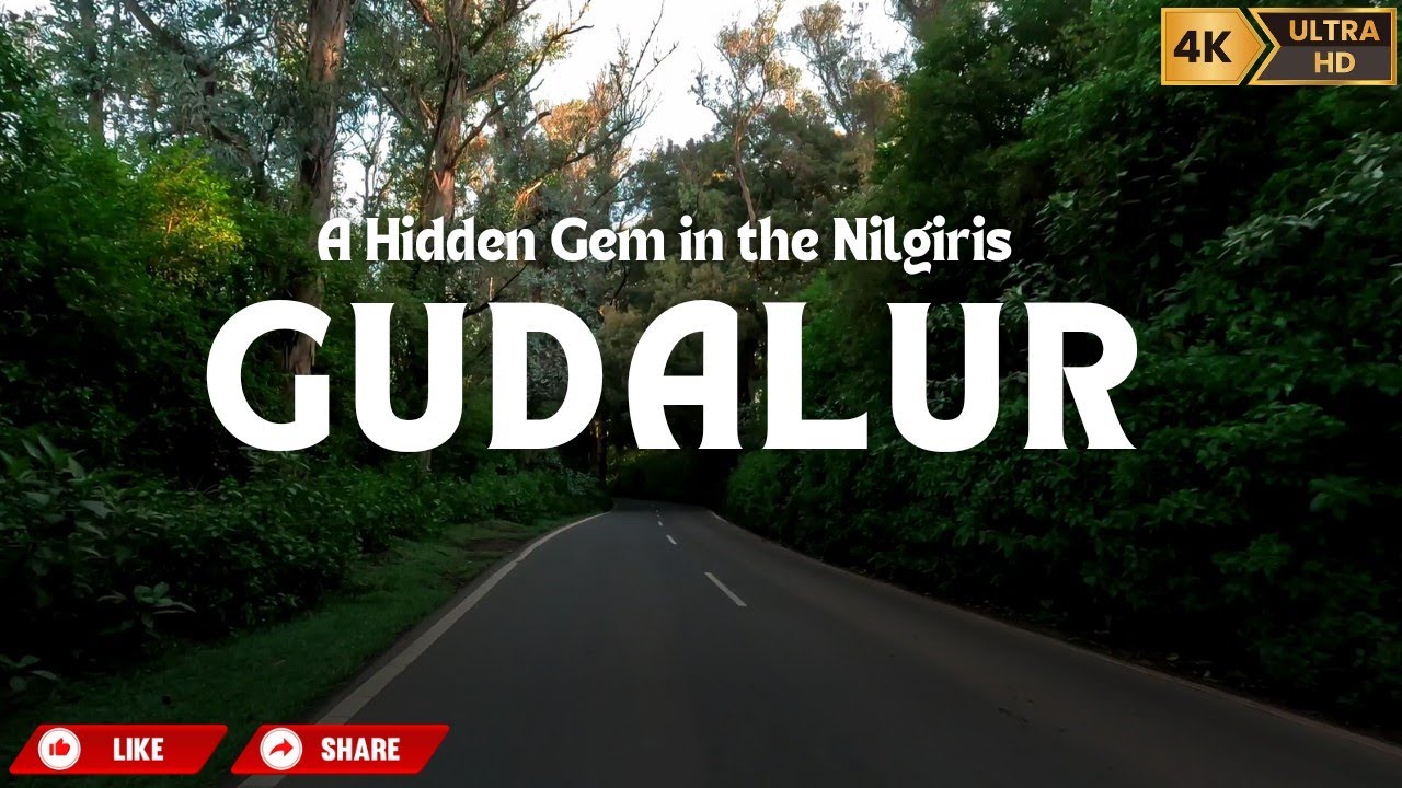 Gudalur's Beastly Bash | 4K - YouTube