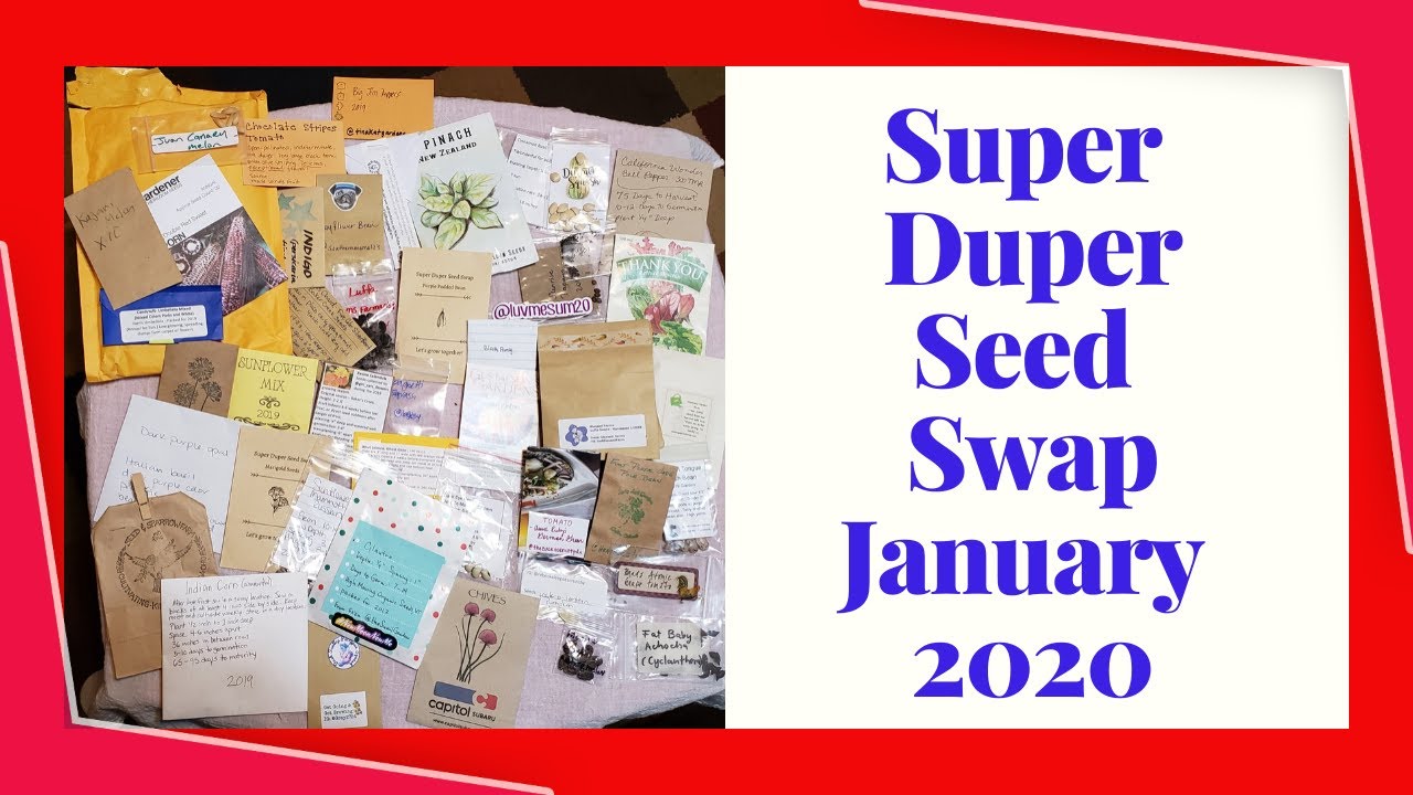 Super Duper Seed Swap Haul January 2020 | Seed Swap - YouTube