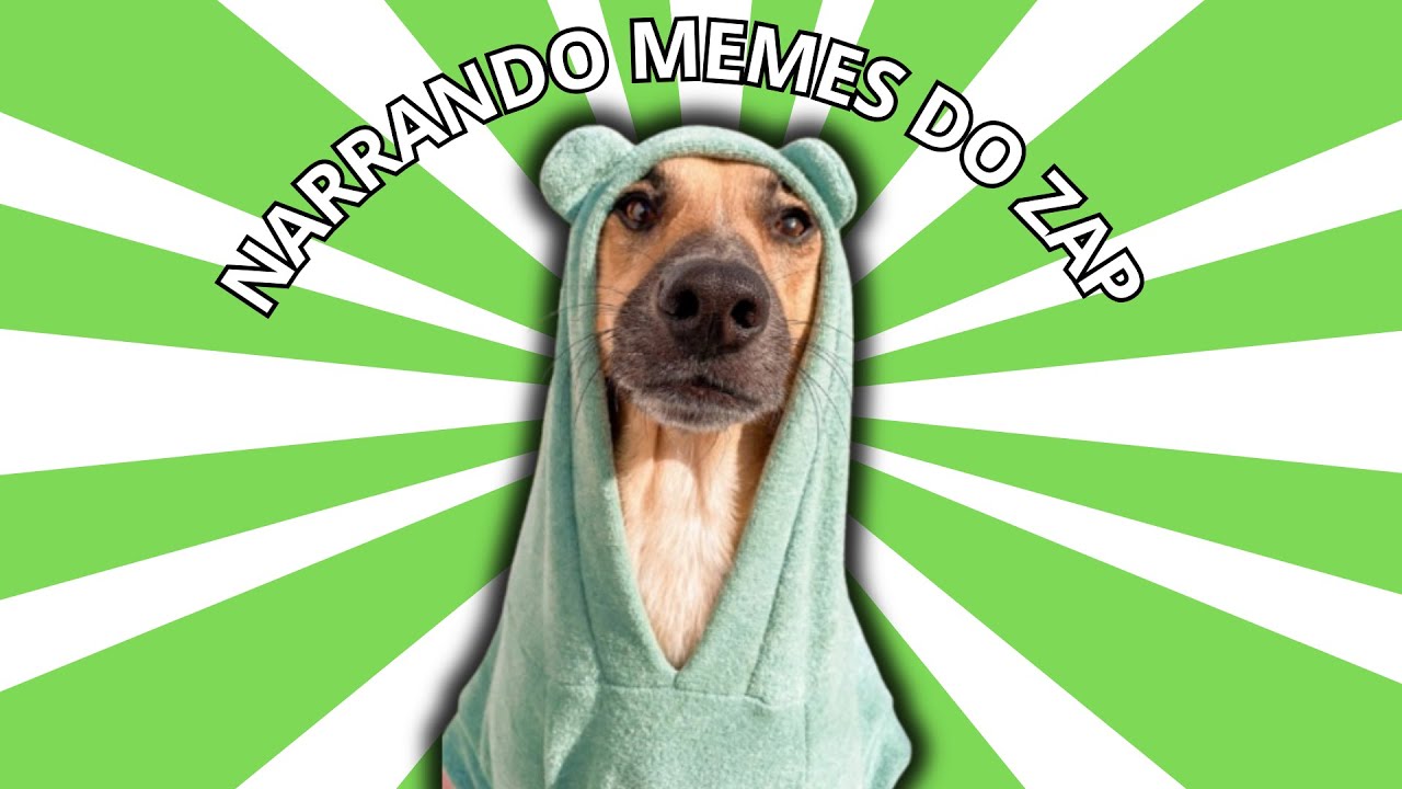NARRANDO CONVERSAS/MEMES DO ZAP - YouTube