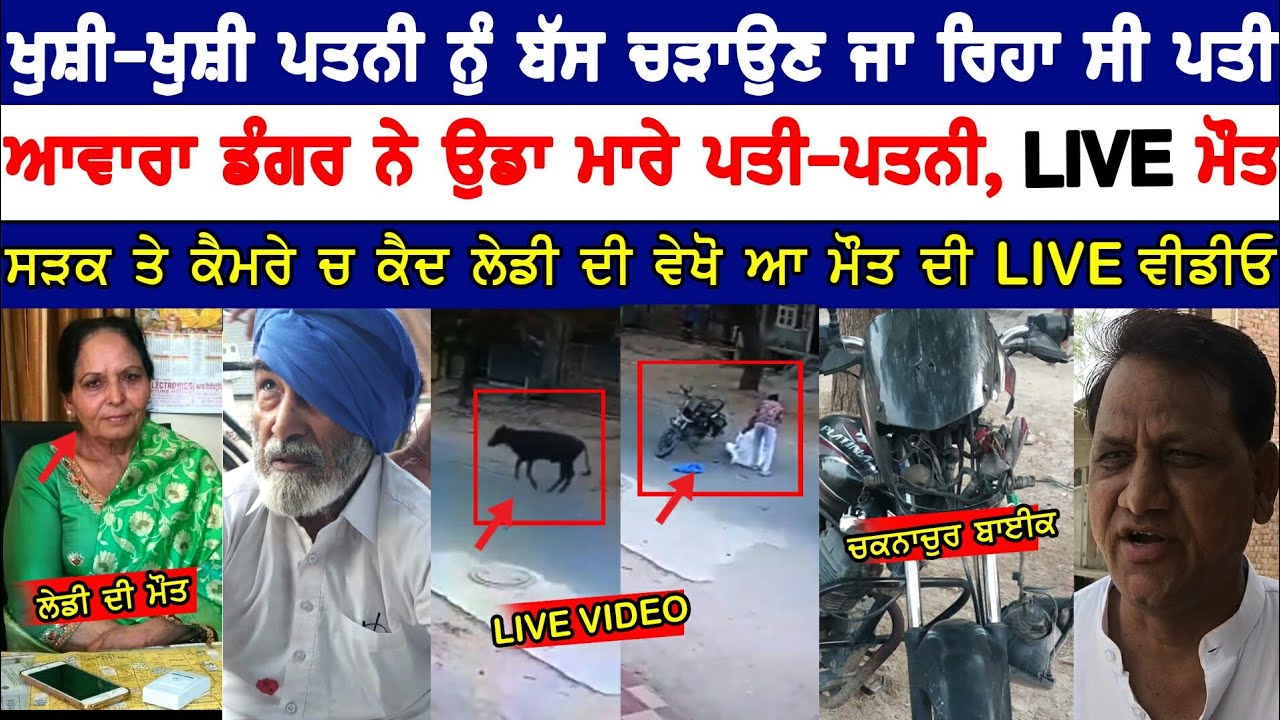 AWARA PASHU KRKE LADY DI HOI MAUT - YouTube