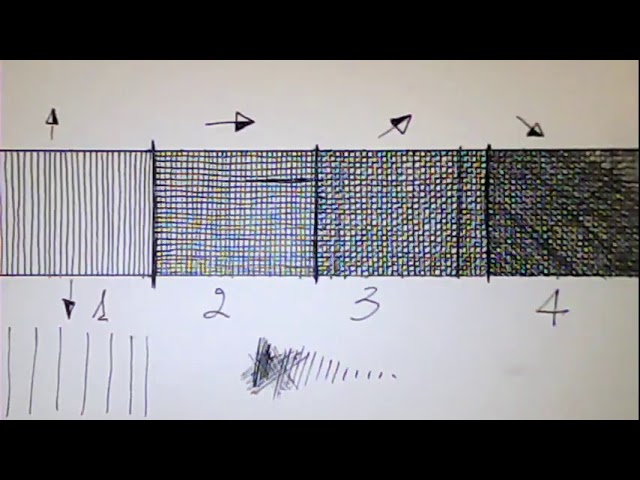 Disegno A Tratteggio Di Pigna La Tecnica Del Tratteggio A Matita