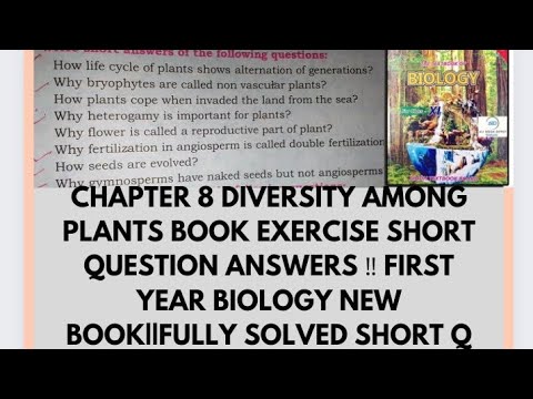 XI CHAPTER 8 DIVERSITY AMONG PLANTS BOOK EXERCISE SHORT QUESTION ...