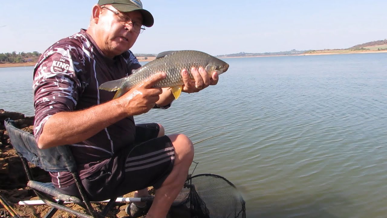 UMA PIAPARA GIGANTE NA VARINHA DE 2,70 MTS - YouTube
