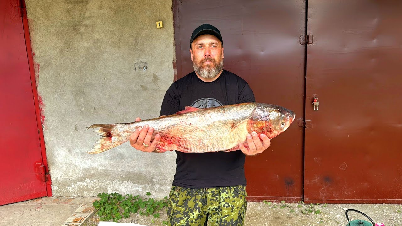 I Cooked a Huge Fish in a Big Stove! Fish Day for the Family - YouTube