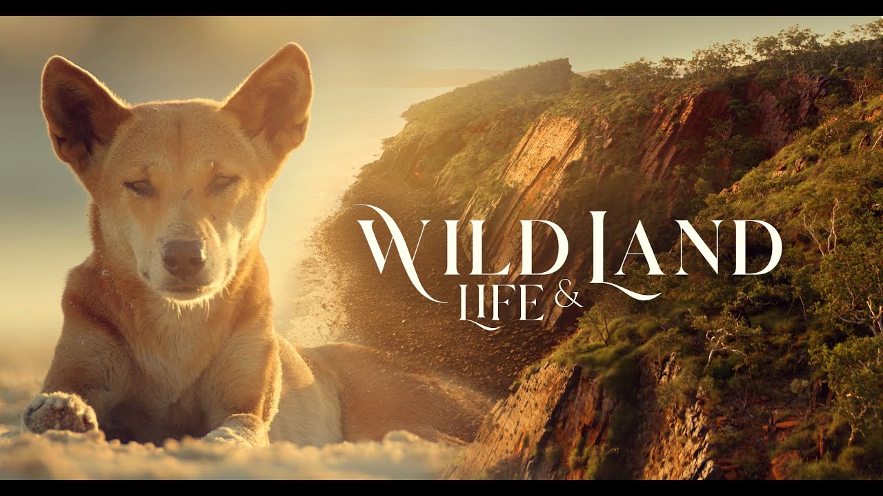 WILD LAND | Cinematographer showreel - YouTube